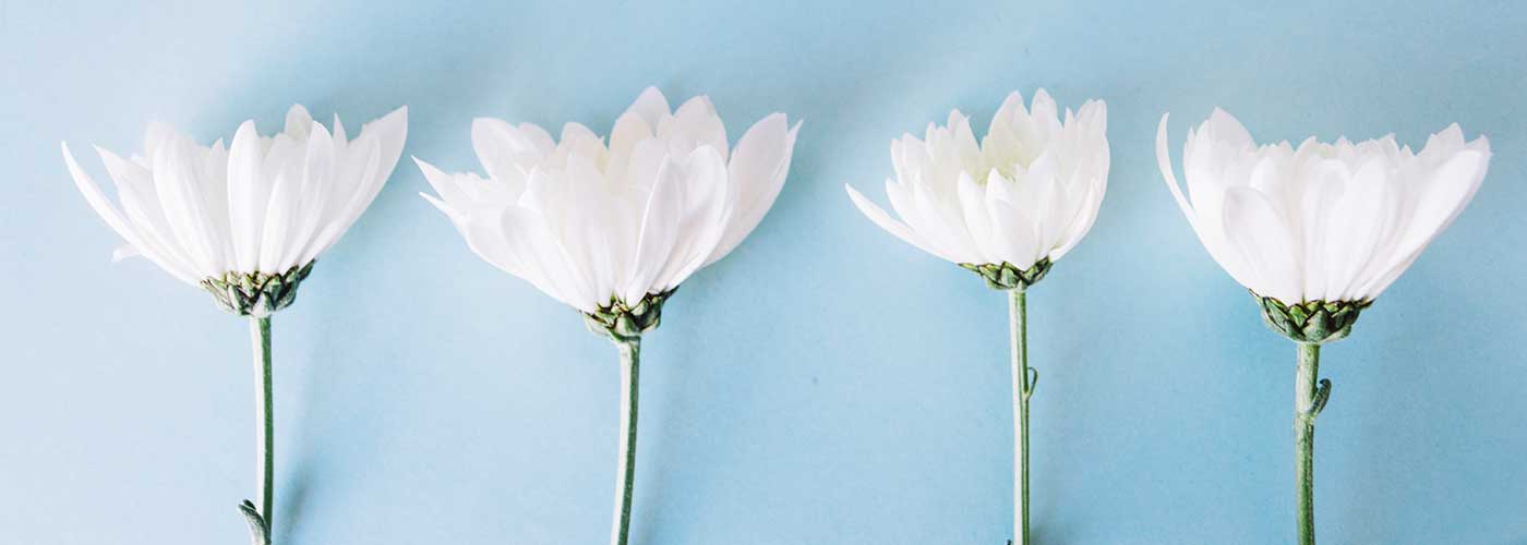 10 señales de que eres una persona altamente sensible